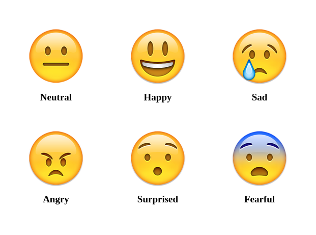 Real-time Sentiment Analysis of Video Feed | Mrinaal Dogra